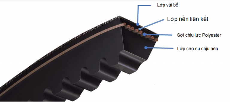 Cấu tạo dây curoa, dễ hiểu và chi tiết nhất.